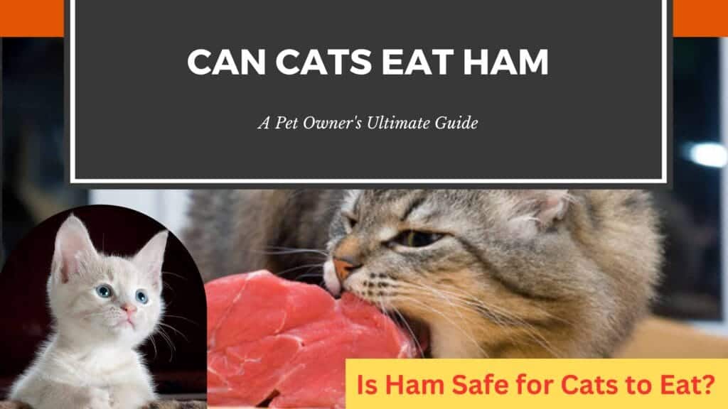 Can Cats Eat Ham? A Pet Owner's Ultimate Solutions (2025)